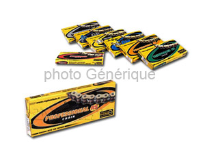 Shop Regina chains for your motorcycle or atv