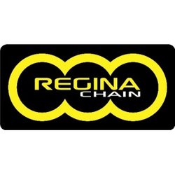 Regina Chain and sproket kits for DUCATI 1260